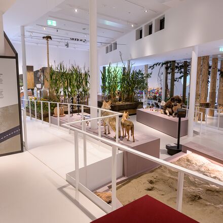 Das Programm | Bei Anruf Kultur